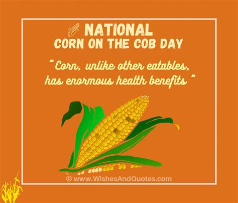 National Corn On The Cob Day Quotes Messages Greetings