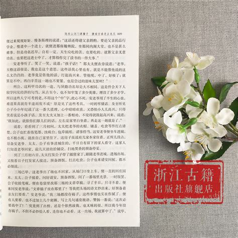 古典文库：儿女英雄传金玉缘侠女奇缘清代文康著无删减章回体小说青少年学生成人版文言文名著课外阅读古典文学珍藏版正版书籍虎窝淘