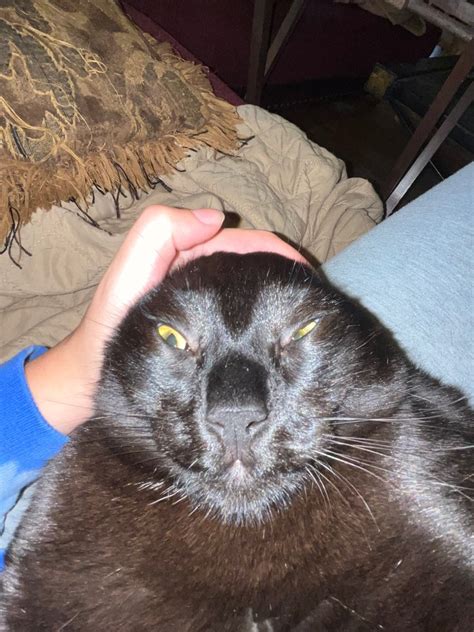 Syd On Twitter RT CatsHeld
