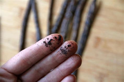 How To Make Vanilla Extract The Daring Gourmet