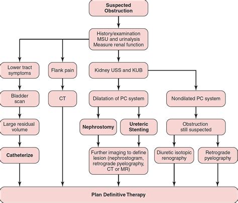 Obstructive Nephropathy Pathophysiology And Management Abdominal Key