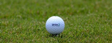 A Beginners Guide To Bermuda Grass Sod Plugs Sodpods®