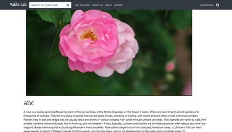 Ui Implementation Project Discussion And Planning · Issue 5739
