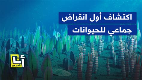 علماء يكشفون أول انقراض جماعي للحيوانات التلفزيون العربي
