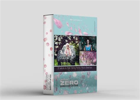 دانلود گلبرگ های صورتی و سفید Png برای طراحی عکس مرجع دانلود فایل های گرافیکی