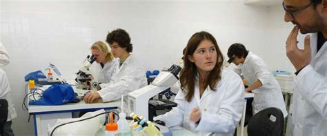 Master Biologie Moléculaire Et Cellulaire Station Biologique De