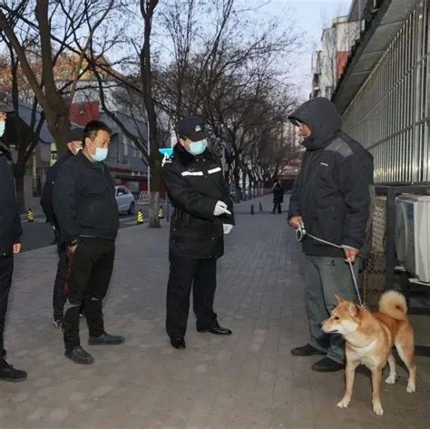 强化公共文明引导大兴区养犬办助力创城 加强不文明养犬整治 执法 处罚力度 辖区