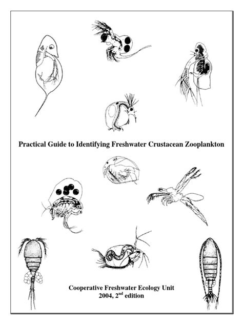 Zooplankton Guide To Taxonomy Pdf Pdf Anatomical Terms Of Location