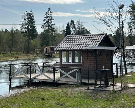 Отдых на природе в лесу у озера