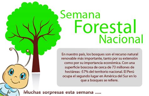 Hormiguita Bebe Semana Forestal Nacional