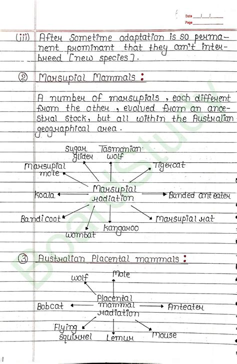 Ncert Class 12 Biology Evolution Notes Handwritten Notes And Pdf