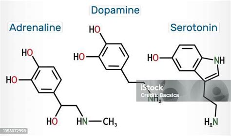 아드레날린 세로토닌 분자 모노아민 신경 전달 물질 신경 조절기 약물 구조 화학 포뮬러 건강관리와 의술에 대한 스톡 벡터 아트 및 기타 이미지 Istock