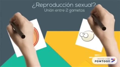 Qué es un híbrido YouTube