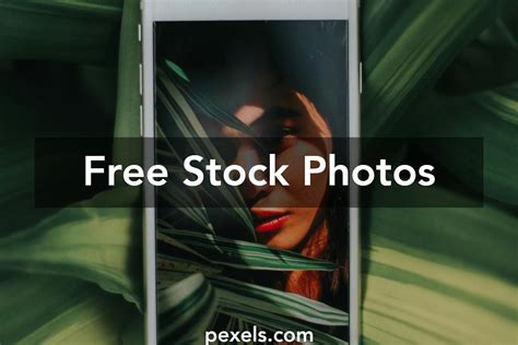 Troll Face Green Screen Photos Download The Best Free Troll Face Green