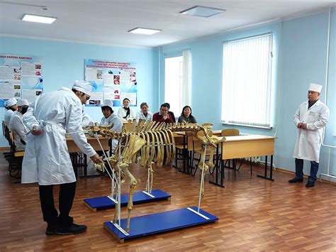 Мастер-класс - West university