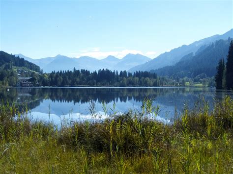 1 무료 슈왈츠 And 오스트리아 이미지 Pixabay