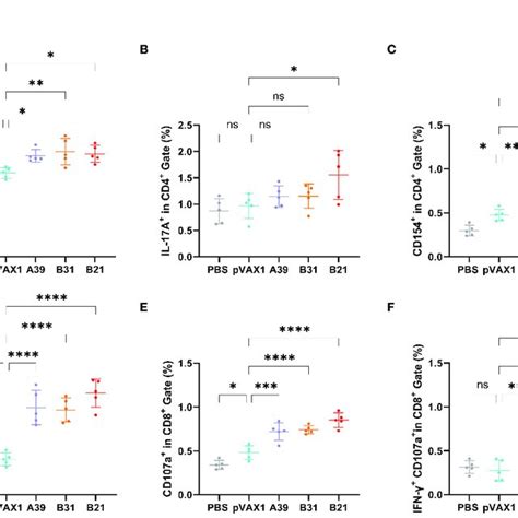 Frequency Of T Cell Subsets In Splenocytes Assessed By Flow Cytometry