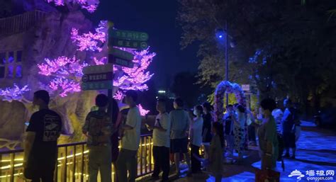 2022郑州特兰斯童话世界门票票价免费政策游玩项目导览地图 动态 墙根网