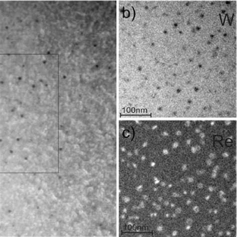 Pdf Effect Of Neutron Irradiation On The Microstructure Of Tungsten