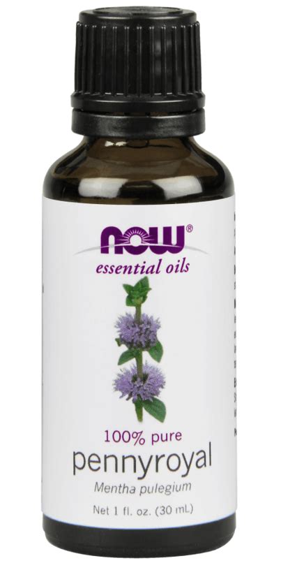 Buy Now Essential Oils Pennyroyal Oil At Well Ca Free Shipping 35