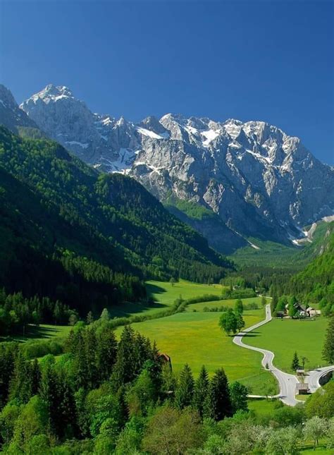 Red Green Tours And Travels Home