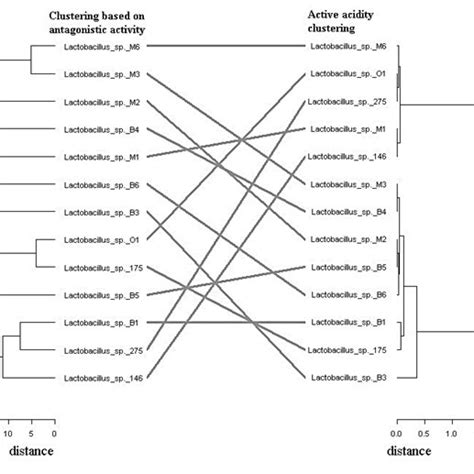 Binary Dendrogram Illustrating The Trees Topology Constructed On The