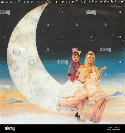 Voice of the Beehive - Man In The Moon - Vintage 7'' inches record ...