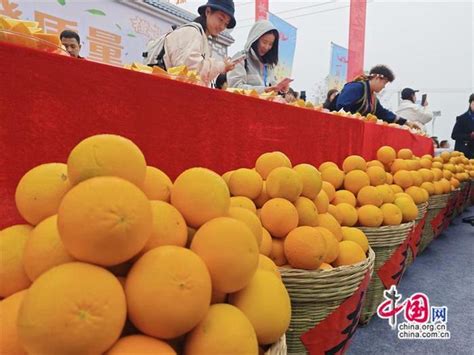 湖南麻阳：冰糖橙畅销海内外 山果果变成金果果 好品优品网