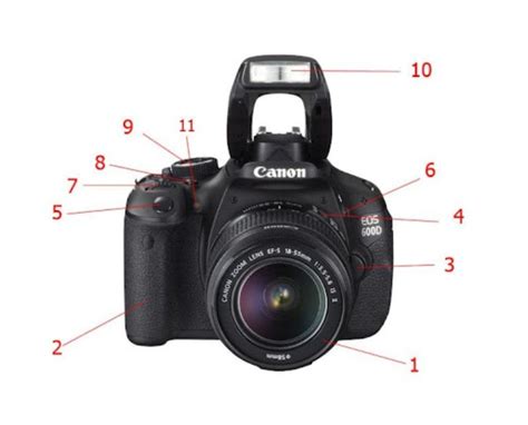 Mengenal Bagian Bagian Utama Kamera Dslr Youtube Vrogue Co