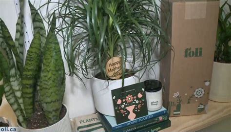 Foli Spreads Plant Joy All Across Canada