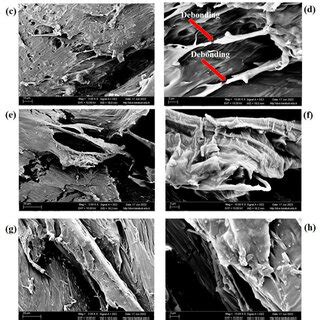 Tensile Graphs Of TPU Composites In Different Aging Conditions A Download Scientific Diagram