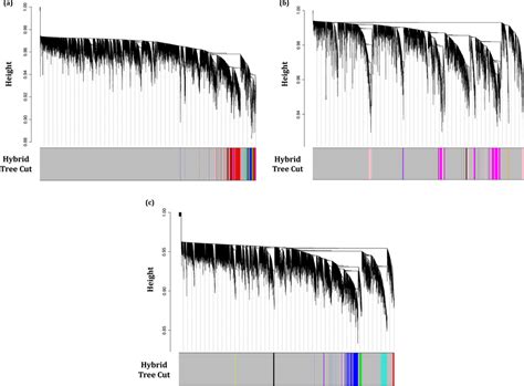 Dendrogram Of Genes Clustered Based On 1 Tom With Assigned Module