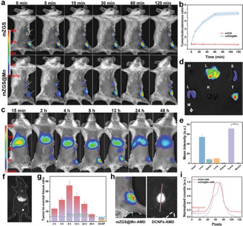 Near‐infrared Persistent Luminescence Nanoprobe For Ultrasensitive Image‐guided Tumor Resection