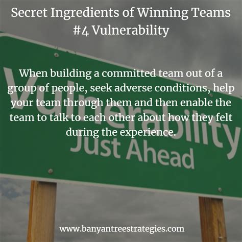 Vulnerability Banyan Tree Strategies