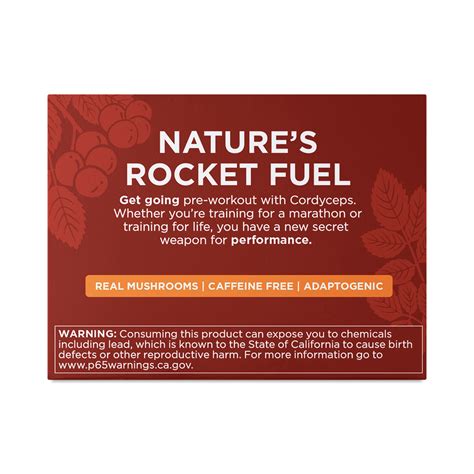 Cordyceps W Ginseng Superfood Mushroom Drink Mix Thrive Market
