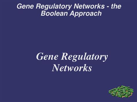 Ppt Gene Regulatory Networks The Boolean Approach Powerpoint