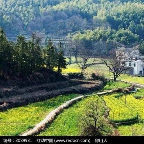 生态包袱变生态高地 迁安市全域治理让废弃矿山重焕生机 建设 项目 金岭
