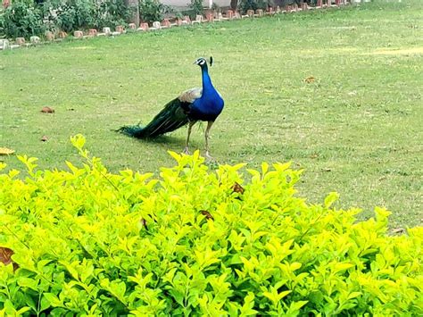 Rr On Twitter Rr Birdtwitter Birdphotography