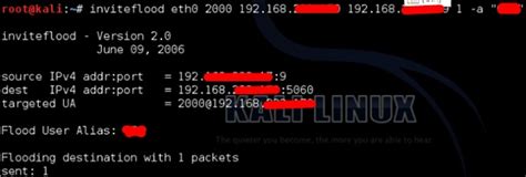 Kali Linux 压力工具 Gingerdoc 姜知笔记