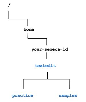 Tutorial2 Unix Linux File Management CDOT Wiki