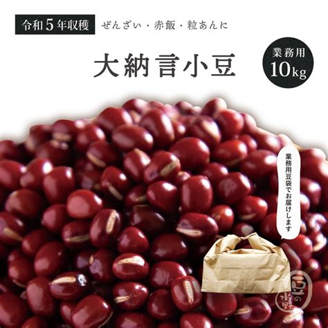 大納言小豆 10kg 令和6年収穫 北海道産 【業務用】 とよみ大納言 メガ盛り 10キロ 豆の水野 通販 Yahooショッピング