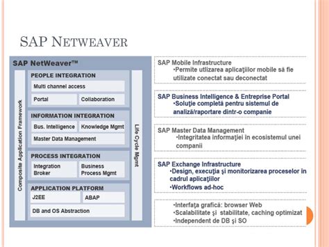 Ppt Instrumente Utilizate Pentru Integrarea Datelor Powerpoint Presentation Id 5610919