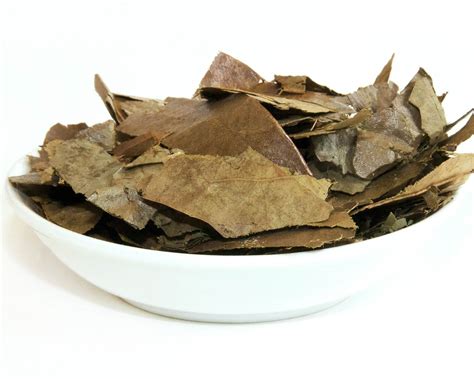 Graviola Annona Muricata Cut And Sift 1 Pound Herbs America Inc