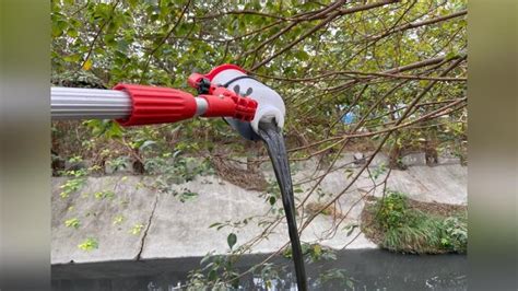 環保局稽查畜牧場廢水 多家業者偷排放 廢水顏色比墨汁還黑｜四季線上4gtv