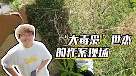 世杰 搜索 专找直播 虎牙直播