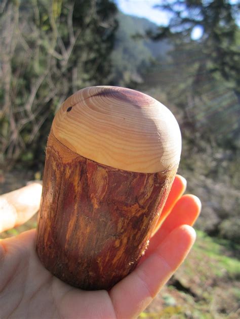 Herbal Salve In Wood Box Magical Healing Salve In Reclaimed Etsy Herbal Salves Healing