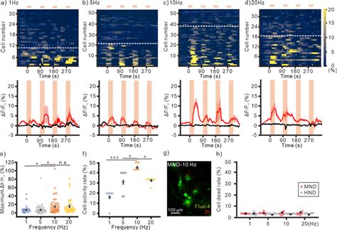 Tuning The Magnetic Field Frequency For Wireless Stimulations Multiple