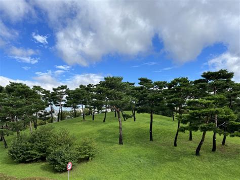 2022 참좋은여행사 동유럽 패키지 9박 10일여행 계획 짐싸기