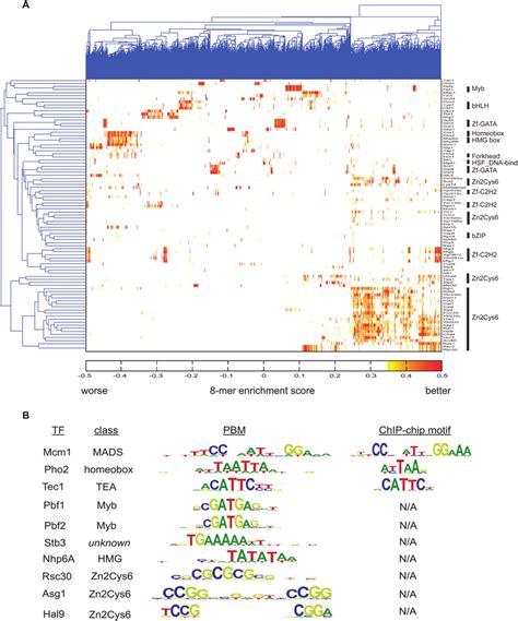 Pbm Characterization Of S Cerevisiae Tf Dna Binding Specificities A