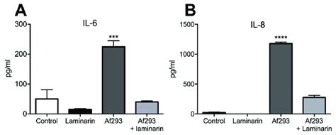 Dectin 1 Receptor Antagonism Inhibits The Induction Of Proinflammatory
